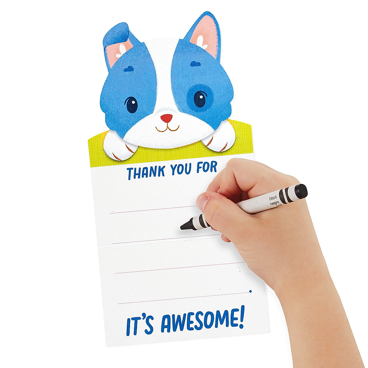 Hallmark Kids Fill in the Blank Thank You Cards Assortment, Dogs and Cats (24 Thank You Notes and 40 Stickers)