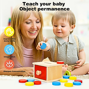 TOY Life Montessori Coin Box Toys Object Permanence Toys for Babies Toddlers Montessori Toys for 1+ Year Old Wooden Montessori Ball Drop Toys Developmental Toys for 2+ Year Old Imbucare Learning Box
