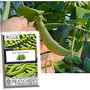 Sugar Daddy Snap Pea Seeds for Planting, 50+ Heirloom Seeds Per Packet, (Isla's Garden Seeds), Non GMO Seeds, Botanical Name: Pisum sativum, Great Home Garden Gift