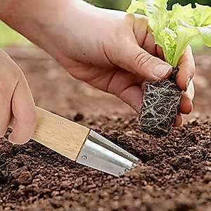 ZOEYES 2 PCS 11 Inch Stainless Steel Hand Dibber Garden Tools with Wooden Handle, Dibbler Bulb Planter, Wooden Sow Dibbers for Sowing Seeds, Transplanting Plants, Planting Bulbs, Digging, Gardening