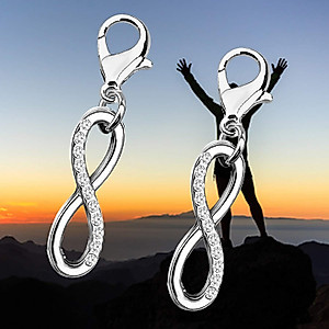 LQRI Infinity Charms Infinity Clip on Charm Infinity Symbol Connectors Charms Pendant Zipper Pull,Charms for Purse,Set of 2 (sliver)