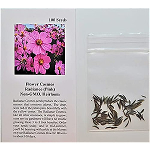 David's Garden Seeds Flower Cosmos Radiance 5455 (Pink) 100 Non-GMO, Heirloom Seeds