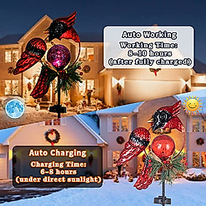Viveta Pathway Lights Solar Powered, Cardinal Decor Figurine Solar Light, Cardinal Christmas Decorations Solar Garden Stake for Outdoor Yard Lawn Walkway Driveway
