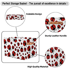 AUUXVA Ladybugs Red Polka Dot Cube Storage Bin with Handle Collapsible Laundry Storage Basket Rectangle Container Box for Home Office Closet Shelves 1 Pack