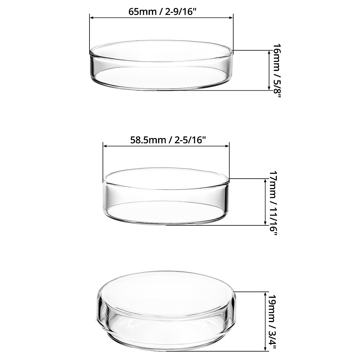 QWORK Glass Petri Dish Petri Plates with Lid, Thicken, 60mm x 18mm, 5 Pack