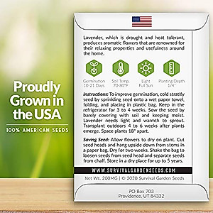 Lavender Seed for Planting - 3 Packets with Instructions to Plant and Grow Edible & Medicinal Lavandula Herbs in Your Home Vegetable Garden - Non-GMO Heirloom Variety - Survival Garden Seeds