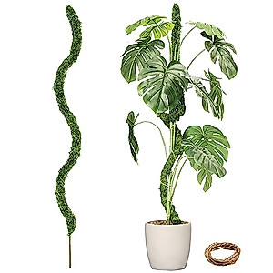 RSSCIIIUL 63 Inch Bendable Real Moss Pole for Monstera, Handmade Slim Stakes Plant Support for Extra Large Potted Indoor Plants Climbing & Growing Upwards