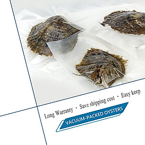 LGSY 7-8mm Mixed Colored Akoya Saltwater Cultured Pearl Oysters for DIY Jewelry Making, Pack of 5Pcs(White, Pink, Purple, Black)