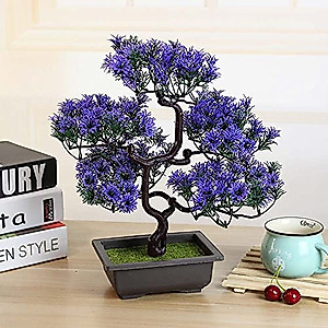 Plastic Bonsai Pots, Square Nursery Pots Retro Planters Plants Growing Pots, Garden Supplies Succulents Home Decoration Pots(Rectangle L)