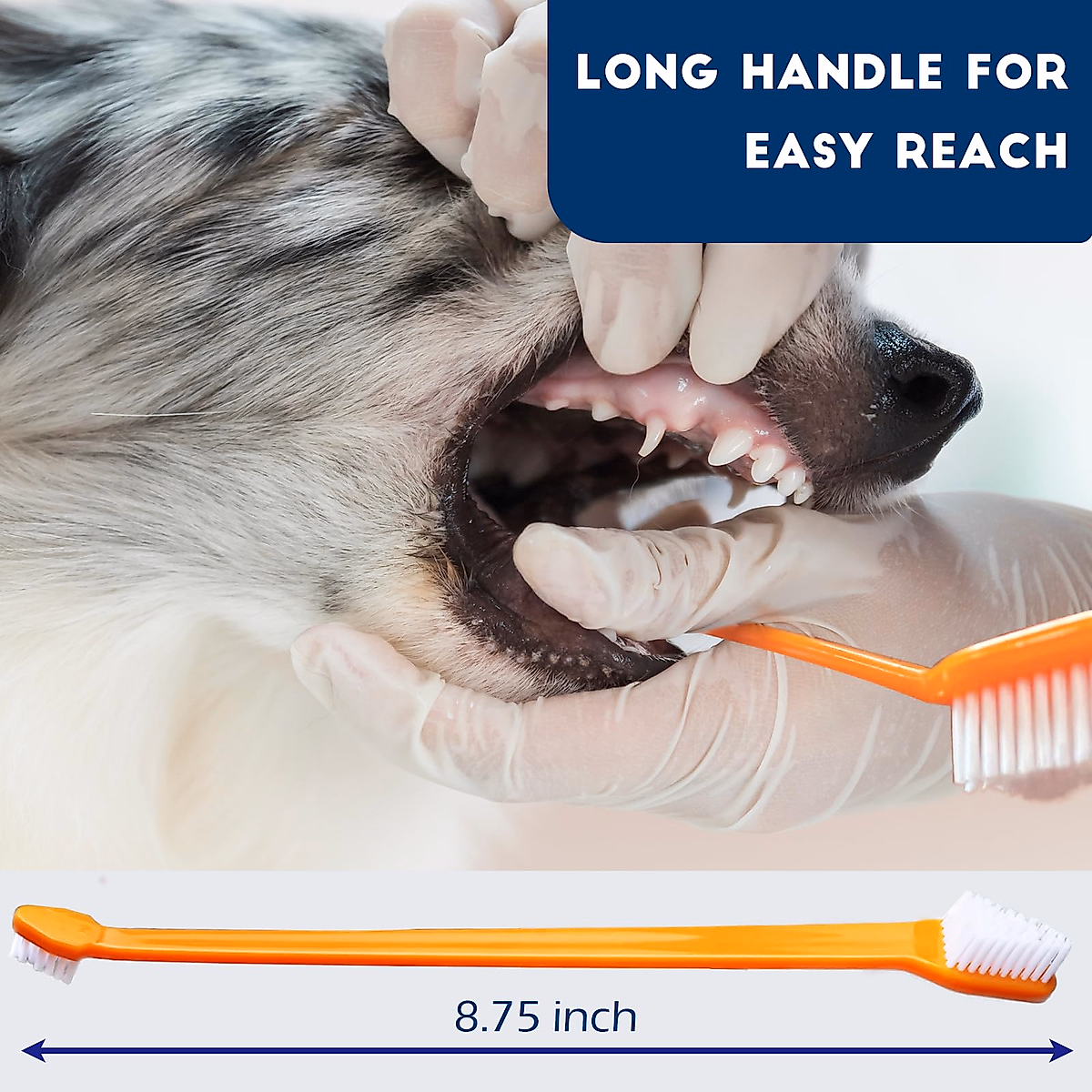 MoonyMars 300 Pcs Dog Toothbrush Cat Tooth Brushes Bulk, Double Sided Brushing Kit, Teeth Cleaning Kit Soft Bristles Long Handle, Pet Tooth Brush for Small to Large Dog, Cat, Puppy & Kitten, 10 Colors
