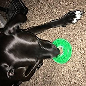 ADUCK Dog Squeaky Chew Toys for Aggressive Chewers Dental Teething Cleaning [Non-Toxic Soft Natural Rubber], Cute Crystal Ring Design -4.92 inches (Crystal Green)