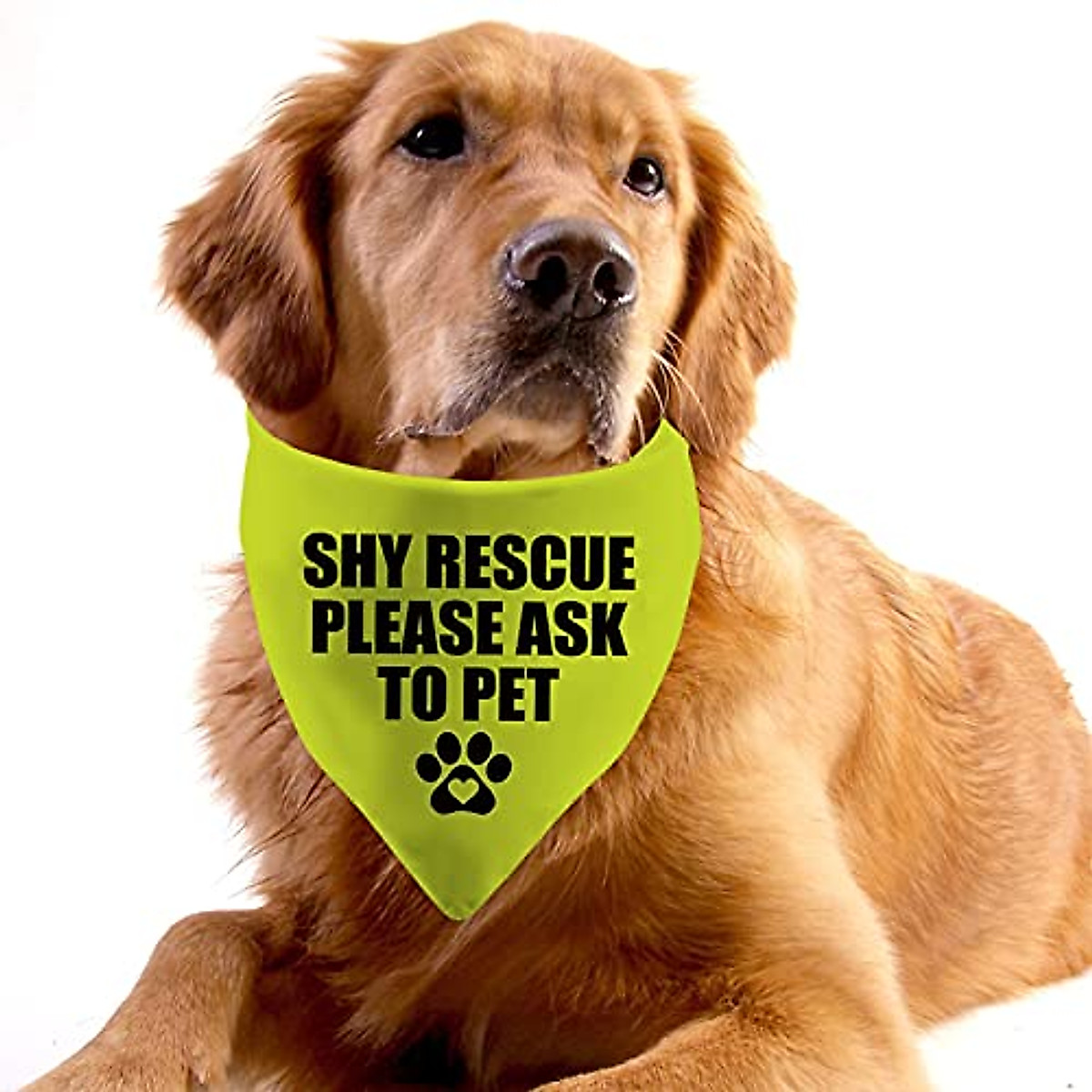 1 Piece Rescue Dog Shy Rescue Please Ask to Pet Dog Bandana Ask to Pet Handkerchief Scarf (Shy Rescue Yellow)