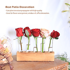 KAXYEW Plant Propagation Station, Plant Propagation Tubes, Gifts for Plant Lovers Office Desk House Garden Décor Plant Terrarium with Wooden Stand