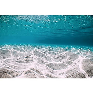 Under The Sea Backdrop 7 x 5 ft Blue Ocean Theme Sunlight Beach Underwater World Scenery Photography Bakcground Vinyl Party Backdrop for Picture Birrthday Party Photo Studio Decor