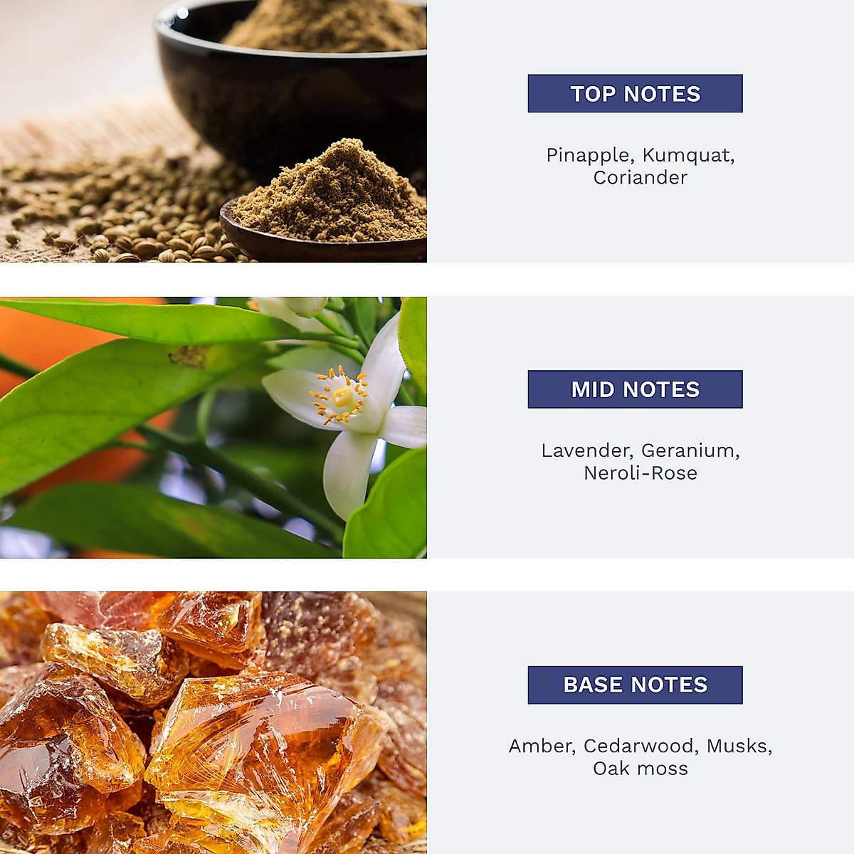 Invicta Collector's Edition Men's Fragrance - Sea Hunter