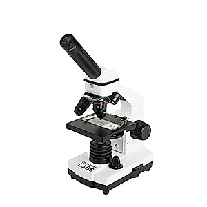 Celestron – Celestron Labs – Monocular Head Compound Microscope – 40-400x Magnification – Adjustable Mechanical Stage – Includes 10 Prepared Slides
