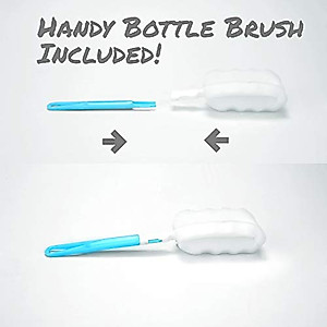 AquaFrut 32 OZ Fruit Infuser Water Bottle BPA-Free Fruit Infusion Sports Bottle - Flip Top Lid w Drinking Spout, Leak Proof, Made of Durable Tritan. Free Recipe eBook! (Rose)