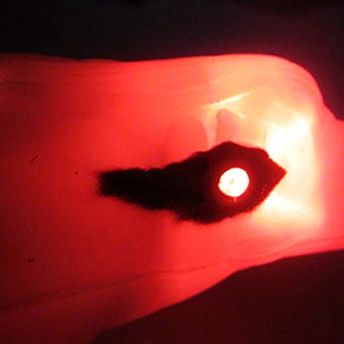 Hibye Hanging Flying Bird Luminous Eagle with Music Repellent Bird Scarer Garden Decoration Portable Household Gardening