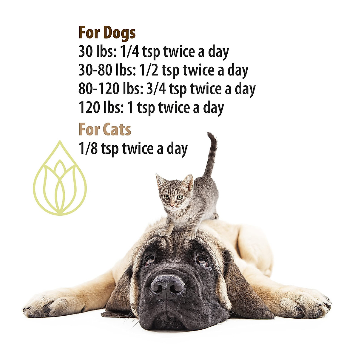 Teliapets Milk Thistle Seed Powder, Herbal & Effective, Natural, Ideal to Protect The Liver & Kidney Health, Against Allergies, Detoxifying, Antioxidant -for Dogs & Cats 23.4oz /700 gr