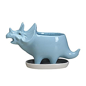 Happyyami 1PC Flower Pot Mini Succulent Container Pot with Drainage Tray Ceramic Fairy Garden Pot Mini Succulent pots Animal Bonsai Holder Artificial Bonsai Artificial Cactus Outdoor Plant