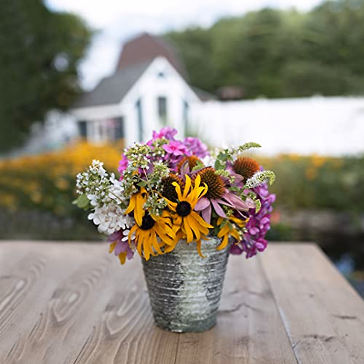 Northern Lights The Flower Garden English Daisy Candle/Planter, 12 oz