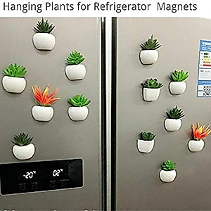 Fridge Magnet Plant Magnets Succulent Magnets Artificial Plants Refrigerator Magnets Fake Succulents Whiteboard Magnet Strong Magnetic Fridge Decoration Magnet for Home Kitchen Decoration (A)