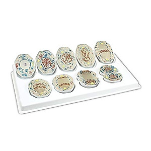 Parco Scientific PB00160 Animal Mitosis 3D Model | 9 Stage Mitosis Demonstration | Biology Classroom Cell Division Display | Detailed Open Cell Organelles | Pieces Equipped with Stand | W Manual
