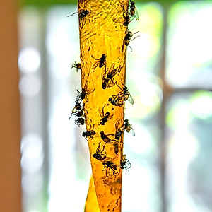 PIC Fly Ribbon Bug & Insect Catcher (4 Pack)