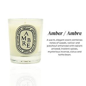Diptyque Set of 5 35g Small Scented Candles Limited Edition Holiday Gift Set:: Baies / Berries, Roses, Figuier / Fig Tree, Ambre / Amber and Tubéreuse / Tuberose