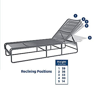 CosmoLiving by Cosmopolitan Nyla Chaise Lounger, Charcoal