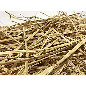 AA Plus Shop 100% Natural Wheat Straw Grass, Animal Bedding and Farm Wheat Straw (4LB)