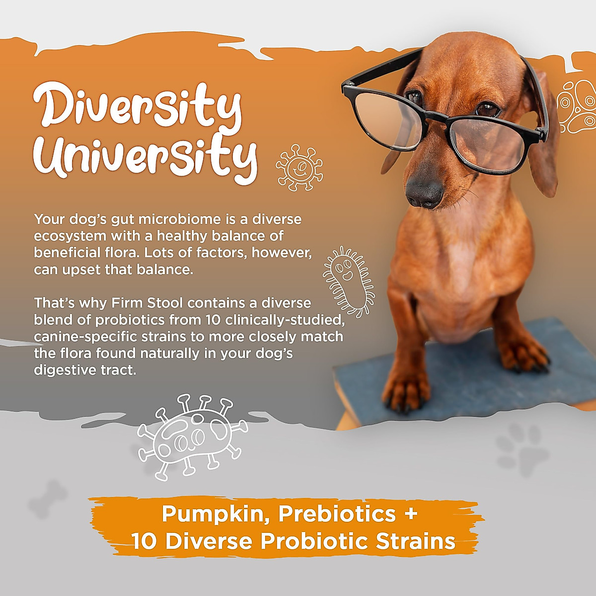 Vital Planet - Firm Stool – Dog Stool Hardener, Eliminates Diarrhea and Gas - Pumpkin, Probiotics and Prebiotics for Healthy Digestion, Fiber for Firmer Stools and Regularity - 111 Grams 30 Servings