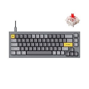 Keychron Q2 Wired Custom Mechanical Keyboard, QMK/VIA Programmable Macro, Full Aluminum, Hot-Swappable Gateron G Pro Red Switch, 65% Layout Double Gasket Compatible with Mac and Windows - Grey