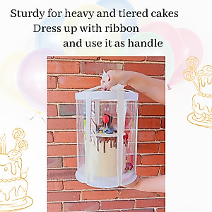 White Tall Clear Cake Boxes 5 PCs - 8 Inch Round Clear Cake Box For Birthday Cake | Wedding Cake - Transparent Cake Box - Bakery Boxes - Clear Gift Boxes (White 8.5"D x 11.75" H)