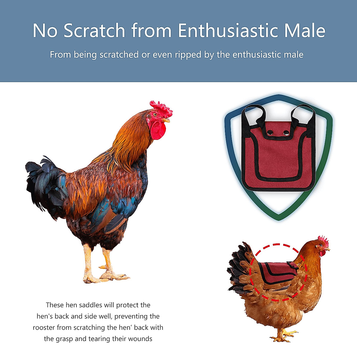 3 Pieces Premium Chicken Saddles with Adjustable Strap, Hen Saddle Sweater Clothes, Birds Protector for Back and Sides, Poultry Accessories for Hens, Suitable for 5-7.6lbs, Red & Blue & Purple