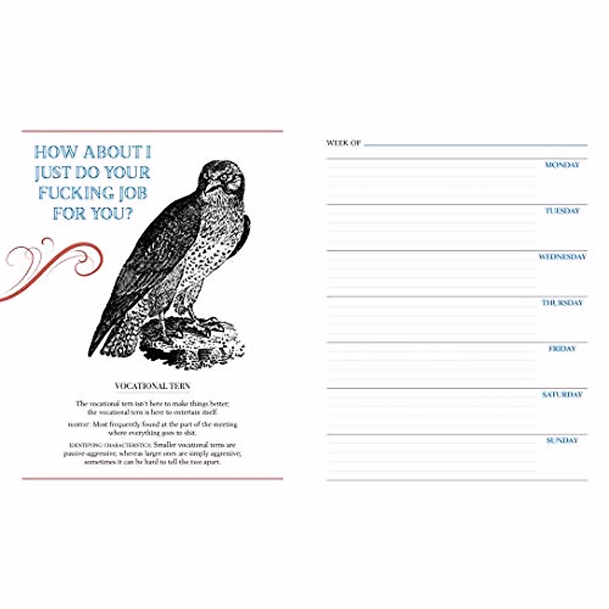 Effin' Birds Undated Monthly/Weekly Planner Calendar: A Field Guide to Identification