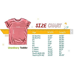 2nd Birthday Outfits for Toddler Girls im Two Cute Shirt Girl 2 Year olds Second (Mauve, 2 Years)