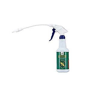 Donaldson Farms Carpenter Bee Killer Spray for Insects All Natural Foaming Spray, 16 oz