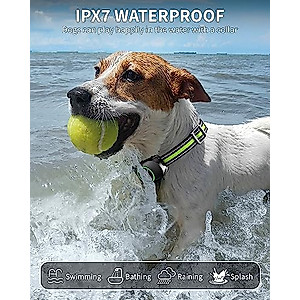 Dog Shock Collar for 2 Dogs, Dog Training Collar with Remote for Large Medium Small Dogs, Rechargeable E-Collar Waterproof Collars with 3 Training Modes, Range up to 3300Ft