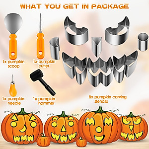 【2022 NEW】 Professional Halloween Pumpkin Carving Kit/Pumpkin Carving Tools/Pumpkin Carving Kit with Stencils for Kids&Adults, Stainless Steel with Hammer for Halloween Decoration Lanterns-12PCS