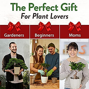 Bonsai Tree Kit, Grow Your Own: Premium 4 Bonsai Trees Starter Kit | Unique Japanese Gifts for Moms Who Have Everything, Women, Men | Gardening Plant Gift for Beginners & Gardeners, Crafts for Adults