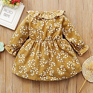 Newborn Baby Girl Fall Winter Corduroy Dress Ruffle Long Sleeve Floral Dresses Infant Flower Clothes (Brown, 0-3 Months)