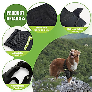 CATUPUNIS Dog Elbow Protector + [5 Dog Teeth Cleaning Wipes] Dog Shoulder Brace. Hygroma Elbow Pads for Dogs. Dog Elbow Brace Front Leg Brace for Dogs. Dog Elbow Pads. Dog Leg Brace Front