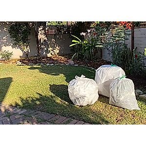 TYPLASTICS 45-48 Gallon Clear Trash Can Liners - 43" x 48" - HD Garbage Bags - Case of 200