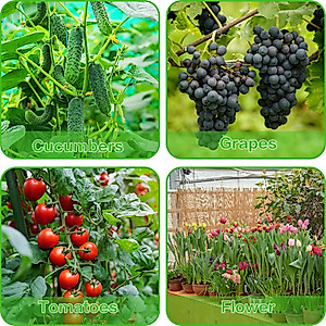 BOTINDO Garden Stakes 48 Inches Sturdy Green Plant Sticks 25 Pack, Metal Tomato Stakes Support, Yard Plant Support Cage for Potted Plants, Tomatoes, Trees, Cucumber, Fences, Beans (48 inch)