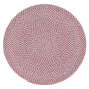 Super Area Rugs Tri-Color Cotton Farmhouse Braided Rug - Buffalo Check Red,White,Gray 6' Round Circle