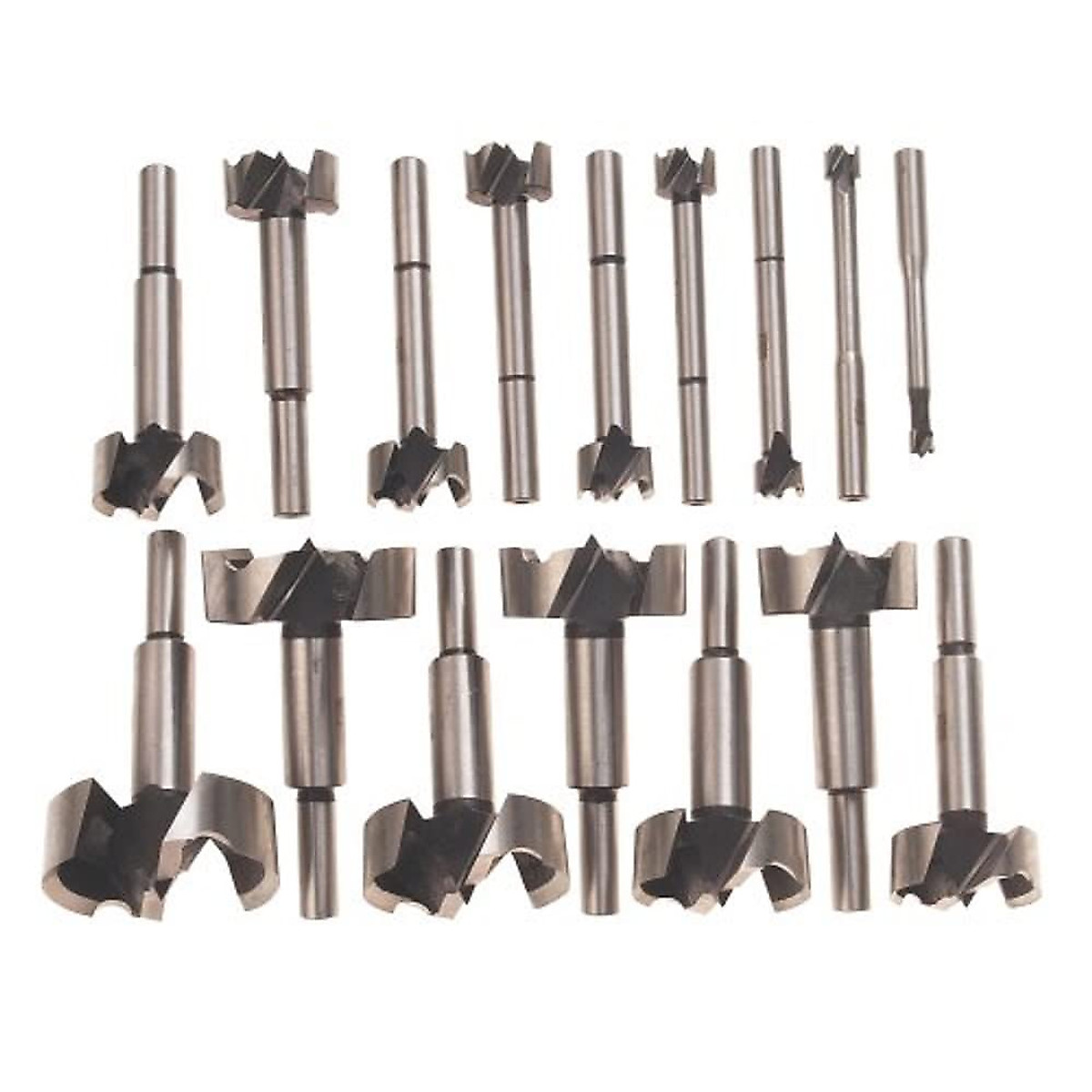 Bosch FB1600 Forstner Drill Bit Set with Wood Case, Use for Portable Drills or Stationary Machines (16-Piece)