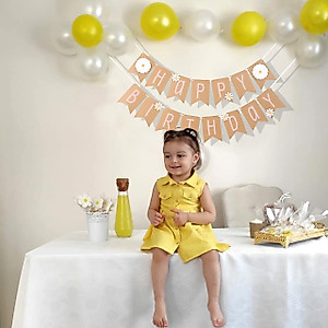 Daisy Happy Birthday Banner - Daisy Theme Birthday,Wildflower Birthday Banner, Groovy Birthday Theme for 1st Birthday, Daisy Themed Birthday Party Decoration Banne，Girl 1st Birthday Decoration