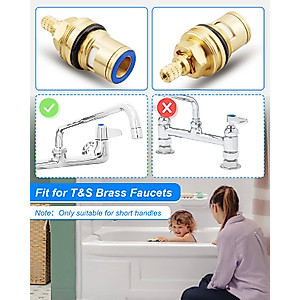Ceramic Cartridge Assembly 013788-45 Fit for T&S Brass Faucets, Cold Ceramic Cartridge Assembly 20I-125PSI 40-140F