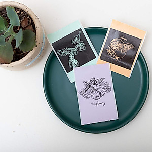 Phomemo Colorful Thermal Sticker Paper M02/M02 Pro/M02S/M03 Mini Printer, Black Character on Mint Green/Purple/Orange, 50mm x 3.5m, Diameter 30mm, 3 Rolls